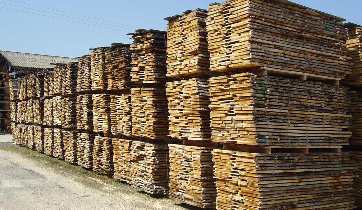 Producten dvan de zagerij en soorten loofhout