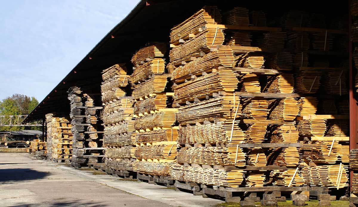 The oak boules | Tarteret sawmill