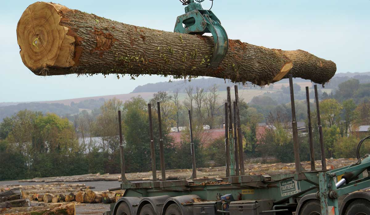 Approvisionnement en bois de la scierie en France